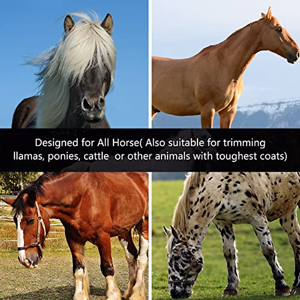 DUCKBOY Horse Clipper 380W Professional Heavy Duty Horse Grooming Kit Electric Animal Grooming Clipper Trimmer Remover for Horses, Equine, Cattle, Pony and Large Thick Coat Animals