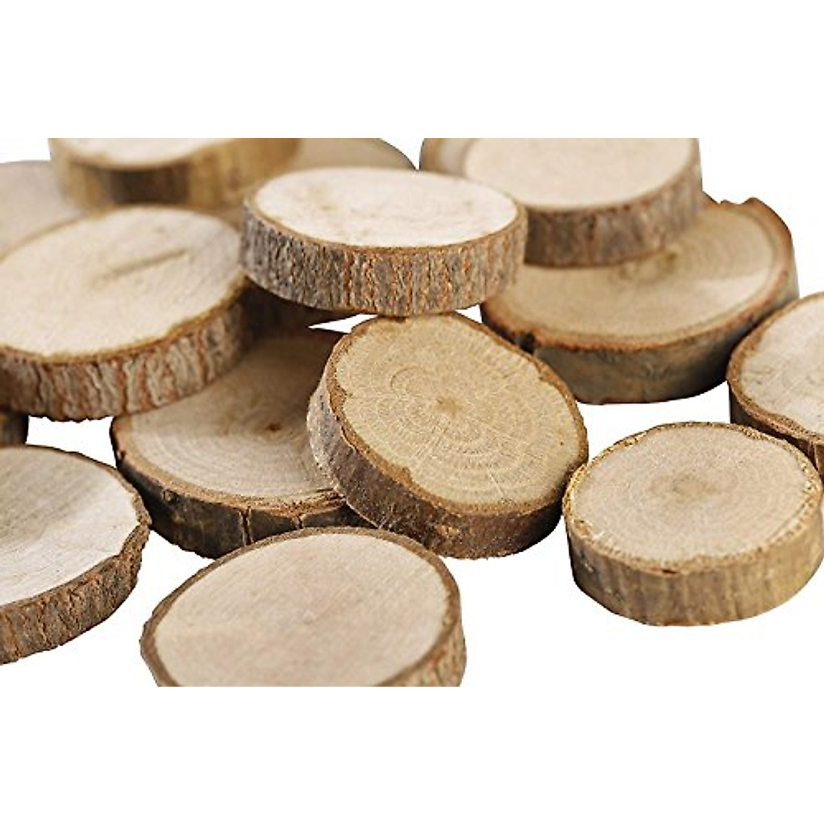 Gmark Natural Wood Slices 1"-1.5" Unfinished Round Discs 50 ct, Tree Bark Wooden Circles for DIY Crafts GM1083
