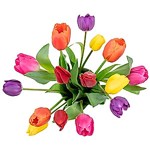 Stargazer Barn - Prime Overnight Delivery - The Happy Bouquet- Farm Fresh Colorful Tulips - Ship directly from our farm to your door, Red, Pink, Yellow, Purple, Orange