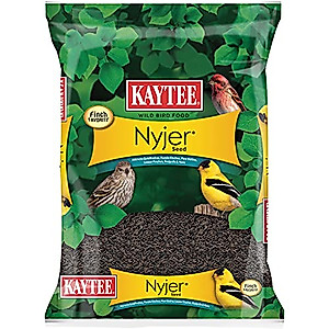 Kaytee Nyjer Wild Bird Food Seed, 3 Pound