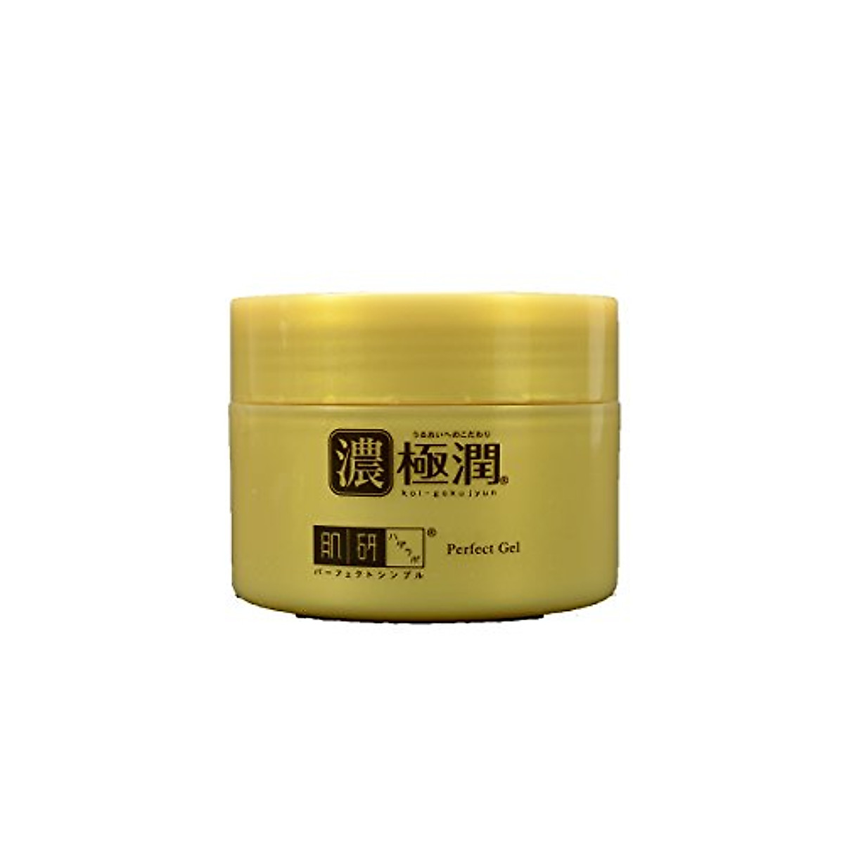 Hada Labo Rohto Gokujun Perfect Gel, 100g