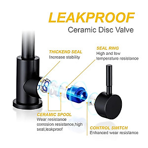 DEOLER Bathroom Sink Faucet, 360° Swivel Spout Lavatory Vanity Faucet Single Handle RV Kitchen Bar Sink Faucet Single Hole Bathroom Faucet, Matte Black, MPVI002