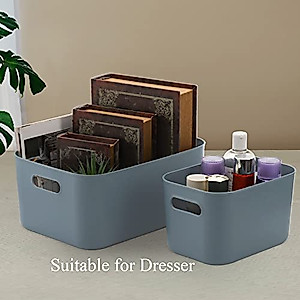 Hacaroa 3 Pack Plastic Storage Bins with Lids, Tote Organizing Container Stackable Storage Box with Handle Cabinet Organizer for Pantry, Bedroom, Cosmetics and Snacks, 2 Size, Dusty Blue