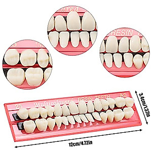 4 Sets Acrylic Resin Fake Teeth Denture Replacement Teeth False dentures Upper and Lower Synthetic Resin dentures for Halloween Party Replacement, 112 Pieces, 23 A