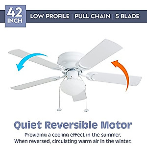 Prominence Home Alvina, 42 Inch Traditional Flush Mount Indoor LED Ceiling Fan with Light, Pull Chain, Dual Finish Blades, Reversible Motor - 80092-01 (White)