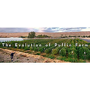 An American Cannabis Story