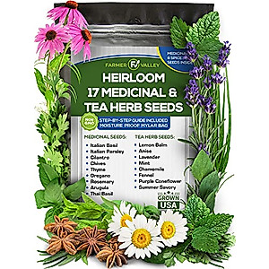 Medicinal and Tea Herb Seeds Collection - Over 4,500 Heirloom and Non GMO Garden Seeds for Planting Indoor, Outdoor & Hydroponic - Includes Basil, Lemon Balm, Chamomile, Lavender, and More