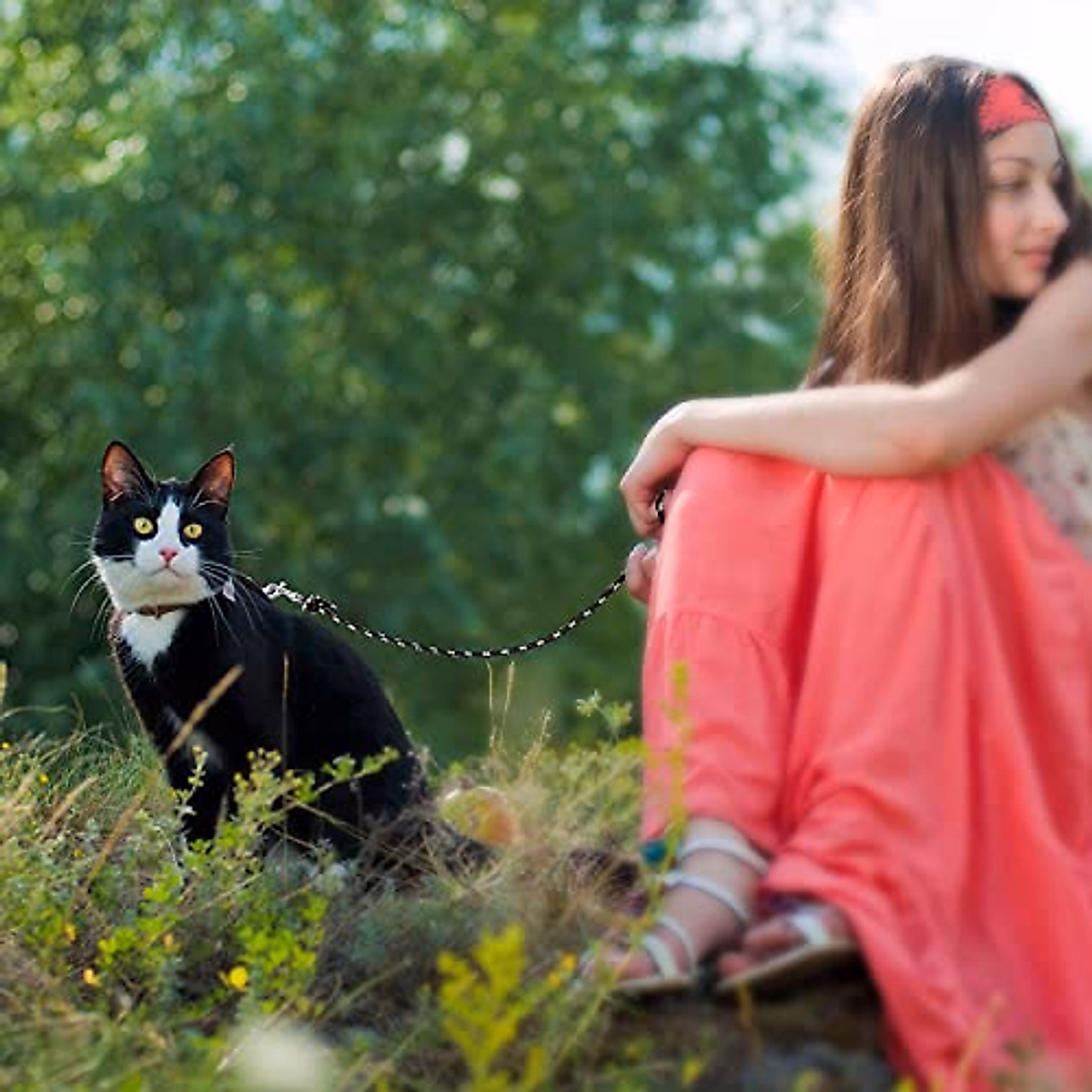 Rypet Reflective Cat Long Leash - 15 FT Escape Proof Walking Leads Yard Long Leash Durable Safe Personalized Extender Leash Traning Play Outdoor for Kitten, Puppy, Rabbit and Small Animals