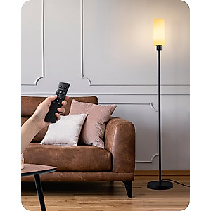 EDISHINE LED Corner Floor Lamp with Glass Lampshade, Modern Dimmable Reading Light with Remote, 65" Standing Tall Lamp for Living Room, Bedroom, Office, Bulb Included (Black)