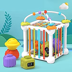 Activity Cubes Montessori Toys, Colorful Brain Sensory Bin Toy Portable Toddler Sensory Bin Toy, Baby Shape Sorter Toy for 1 Year Old Early Development Activity Toys