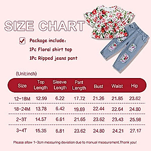 Hearyoo Baby Girl Clothes Infant Toddler Denim Ruffle Sleeve Floral Shirts Tops Ripped Jeans Pants Sets Summer Girl Outfits Red Flower 18-24 Months