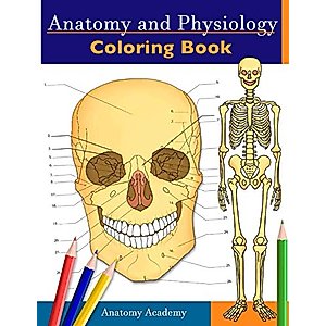 Anatomy and Physiology Coloring Book: Incredibly Detailed Self-Test Color workbook for Studying | Perfect Gift for Medical School Students, Doctors, Nurses and Adults