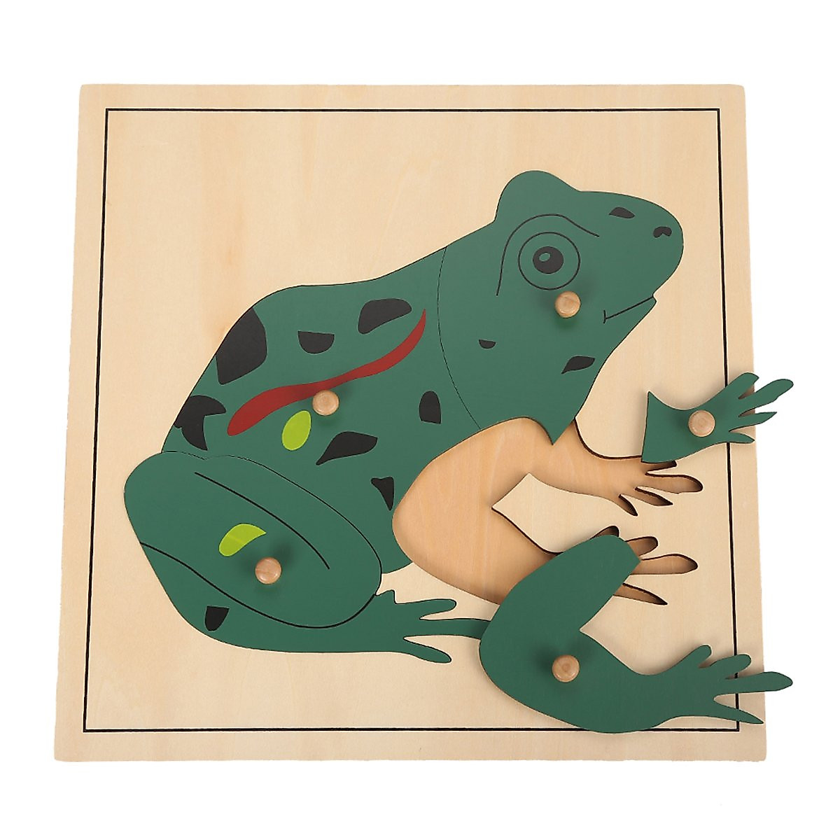 MEYOR Montessori Frog Puzzle for Early Preschool Education Learning Toy