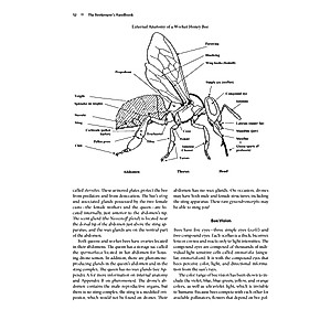 The Beekeeper's Handbook