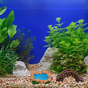 Cabilock 8pcs Micro Landscape Bridge Pond Fairy Garden Decor Scenery Adornment Resin Art Crafts Fairy Garden Accessories Fairy Garden Crafts Resin Ornaments Miniature Landscape Ornament