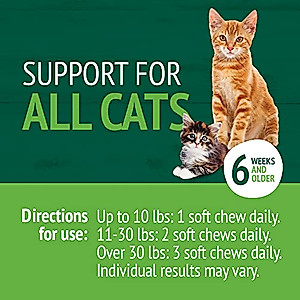 PetNC Natural Care Hairball Soft Chews for Cats, 90 Count