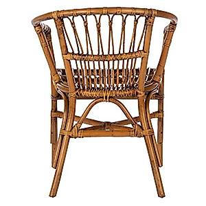 SAFAVIEH Home Adriana Coastal Honey Brown Wash Rattan (Set of 2) Accent Chair (ACH6505C-SET2)