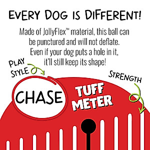 Jolly Pets 8" Soccer Ball, Orange, Large/X-Large