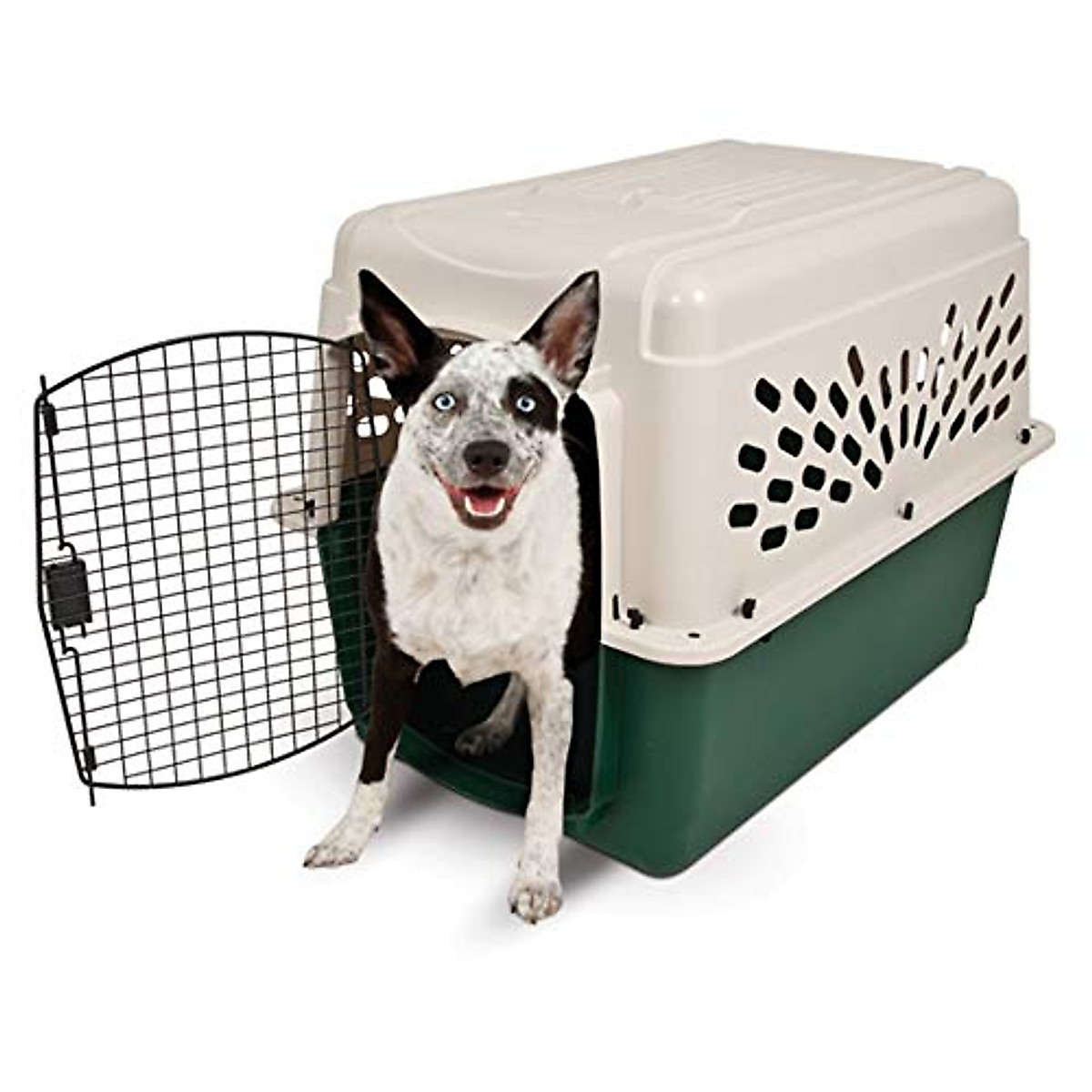 Petmate Ruffmaxx Dog Kennel Pet Carrier & Crate 36" (50-70 Lb), Outdoor and Indoor for Large, Medium, and Small Dogs - Made from Durable Recycled Material w/ 360-Degree Ventilation, Made in USA