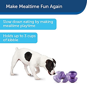 Busy Buddy Magic Mushroom Dog Pet Toy, Medium/LG