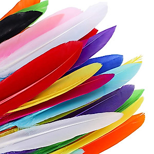 Coceca 240pcs Colorful Goose Feathers 4-6 Inches Natural Feathers for DIY Crafts