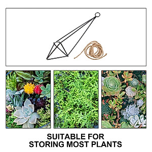 UPKOCH 8 Pack Geometric Plant Hangers Air Plants Hanging Metal Air Plants Holders Pot Container Decoration