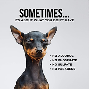 Natural Rapport Dog Ear Cleaner - The Only Ear Cleaner Dogs Need - Ear Cleaner Wipes for Cleaning Out Wax, Dirt, and Contaminants (Wipes, 100 CT)