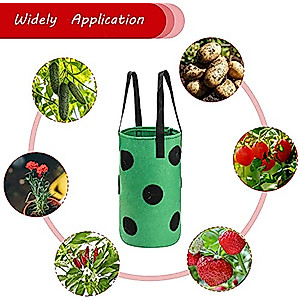 Grow Bags 3 Gallon for Strawberry Vegetables 12 Planting Holes, Sturdy Hanging Handle Thickened Breathable Felt Cloth, Plant Grow Bag for Carrot Onion Tomato Potato Roses