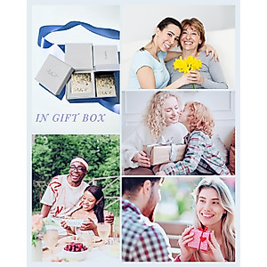 PLATO H Crystal Fox Necklace Cute Head and Tail Pendant Anniversary Jewelry for Women's Birthday Gift for Her