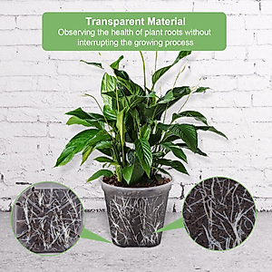 GREENPARA 8-inch Transparent Plastic Garden Pots Planter with Saucer Plant Pot Nursery Pots Drainage Hole for House Plants, Herb, Flowers, and Cactus with Plant Labels, 3-Set