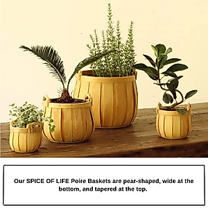 SPICE OF LIFE Poire Cedar Planter Basket - Round, Extra Small - Decorative Wooden Basket with Small Handles, 1mm Thick Wooden Slots, Sturdy, Lightweight, Portable, Rustic, for Indoor Use