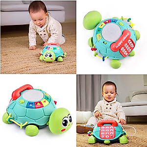 Boxgear Musical Turtle Toy - Baby Crawling Toys for Babies 18+ Months - Learning with Sound, Music, Lights, Phone, Letters, Numbers - for Motor Skills, Cognitive Development, Hand-Eye Coordination