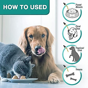 2 Pack Hemp Oil for Dogs & Cats- Helps Pets with Аnxiety, Pаin, Strеss, Аrthritis, Sеizures Rеlief - Organic Pet Hemp Oil Drops Treats - Skin Нiр Jоint Hеalth - Made in USA