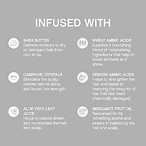 KEVIN.MURPHY STIMULATE-ME.RINSE - Thicker, Fuller Hair for Men - For All Hair Types - Deep Nourish Hair Conditioner - Hydrating & Hair Shine Conditioner - 250 mL / 8.4 fl oz