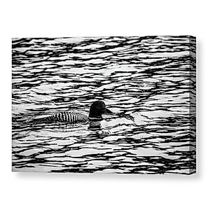 Black and White CANVAS Print Nature Photo Swimming Loon on Water Bird Photography Silver Gray Wall Art Monochrome Home Decor Ready to Hang