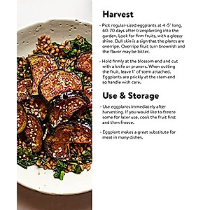 Burpee Patio Baby Eggplant Seeds 30 seeds