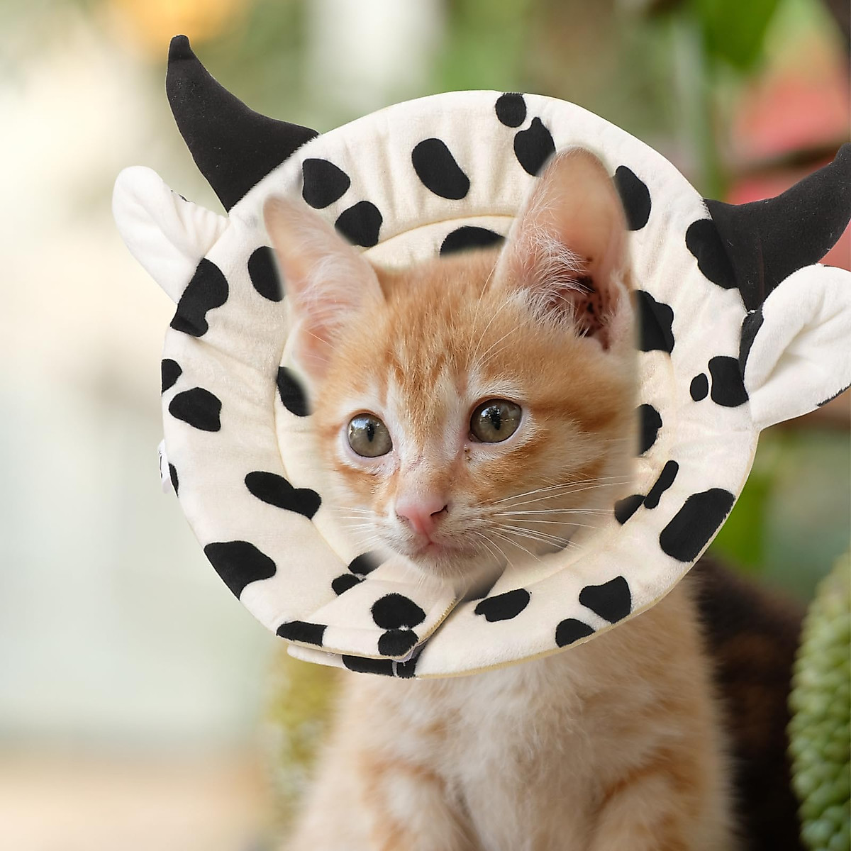 Mipcase Dog Cone Collar, Soft Dog Cone to Stop Licking Adjustable Dog Cones for Small Dogs Cats