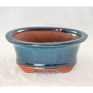 1 Pcs 6.25" Oval Green Stain Bonsai / Succulent Pot + Soil + Tray + Rock + Mesh Kit