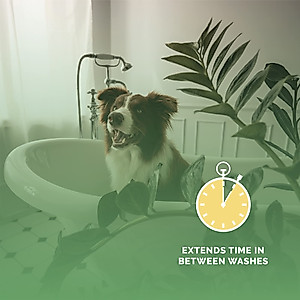 Bark2Basics Salon Scents Pet Grooming Cologne - 8 oz, Natural Professional Groomer Perfume for Dogs and Cat, Long Lasting, Deodorizing, (Citrus and Pomegranate)