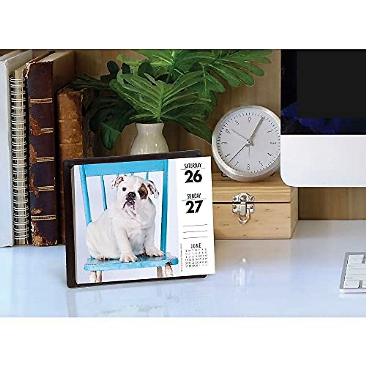 Just Bulldogs 2021 Box Calendar (Dog Breed Calendar)