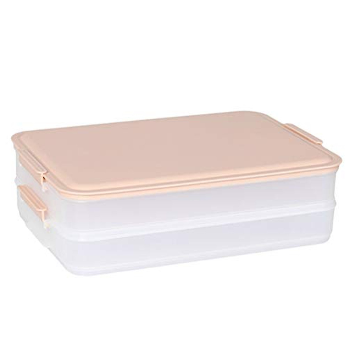 HEMOTON Plastic Food Storage Containers Dumpling Box Food Freezer Box Keep Fruits Vegetables Meat And More Kitche Fridge Freezer (Meat meal)