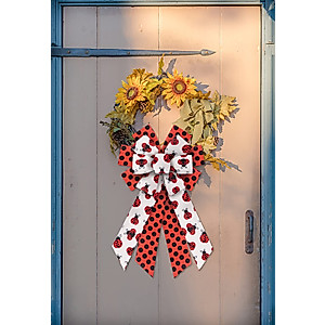 Hying 2 Rolls Spring Ladybug Ribbons Wired for Wreath Bows Wrapping Gifts, Red Polka Dot Ribbon for Gift Wrapping Birthday Party Decoration DIY Crafts, 2.5" X 10 Yards Red Lady Bug Wired Edge Ribbon