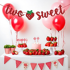 Strawberry Two Sweet Banner, Baby 2nd Birthday Banner, Strawberry Themed 2nd Birthday Baby Shower Party Decorations Red Glitter