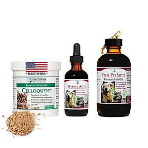 Vitality Science Advanced Immune Restoration Supplements for Cats | Intense Regeneration Protocol | Helps with Pain Relief (Small)