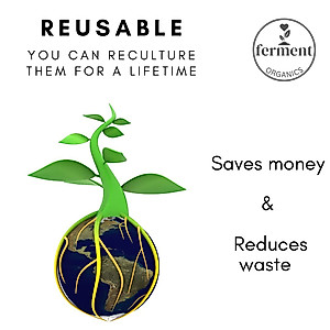 Live Kefir Grains 1 TBSP, Kefir Starter Culture, Rich in Live Active Probiotics, Start your own Kefir Culture at Home, Bulgaros de Leche, Beginners Kit