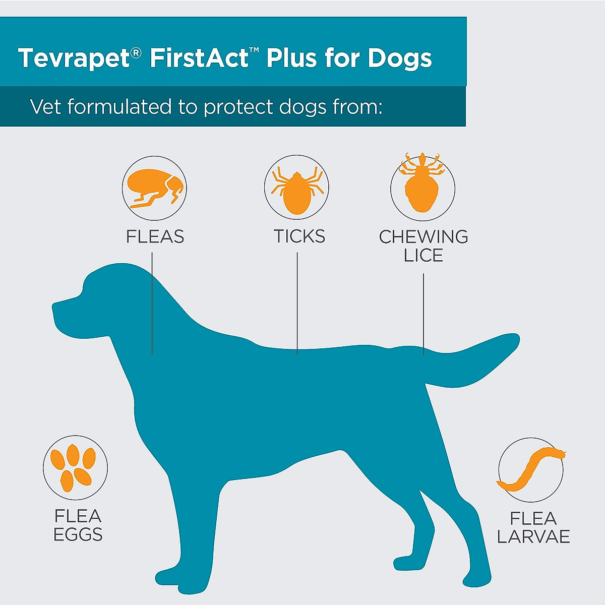 FirstAct Plus Flea Treatment for Dogs, Medium Dogs 23-44 lbs, 6 Doses, Same Active Ingredients as Frontline Plus Flea and Tick Prevention for Dogs