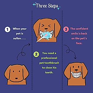 ANTOLL Pets Silicone Soft Head Dog cat with Toothbrush Dog cat Teeth Cleaning Health Care（4-Parks）