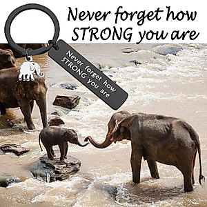 bobauna Elephant Keychain Never Forget How Strong You Are Strength Jewelry Uplifting Gift For Friend Family Animal Lovers (never forget black)