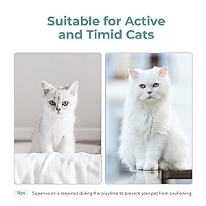 Cheerble Interactive Cat Ball Toy, Automatic Moving Ball Puzzle Toy for Indoor Cat Kitten, Smart Anti-Depression Pet Toy Fun Gift with Light (Green)