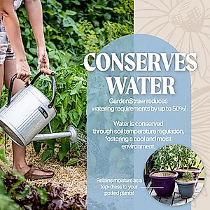 HealthiStraw GardenStraw, 3 cu ft, All-Natural Mulch for Vibrant Gardens, Vegetables Lawn Seeding - Water-Conserving, Weed-Suppressing Wheat Straw - Sustainably Sourced, Thoroughly Cleaned